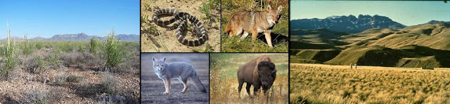 Paisaje y Relieve: Zona tropical